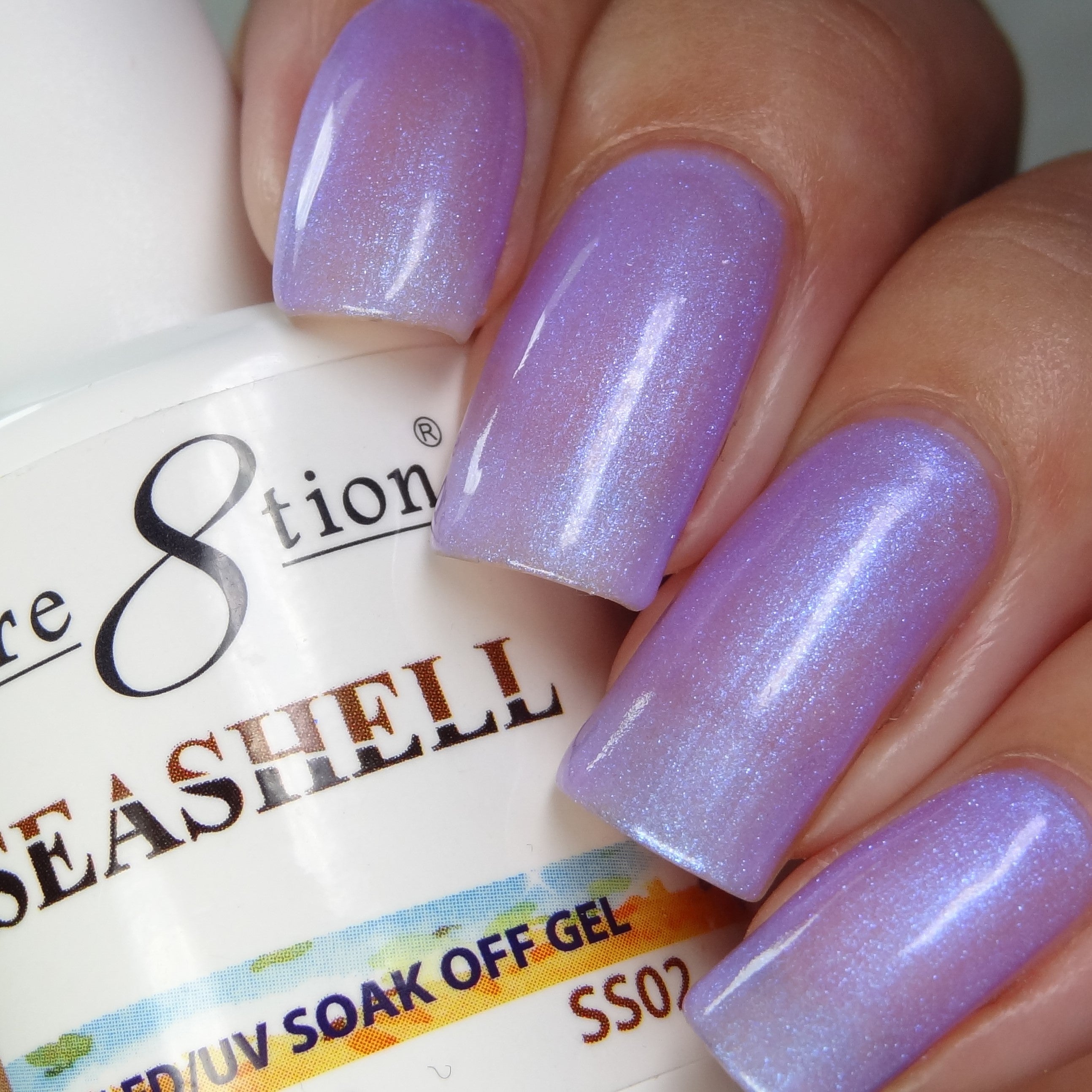 seashell gel spn